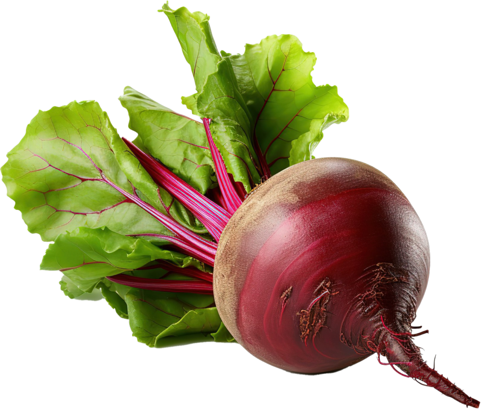 Home | beetrootconsultants.com